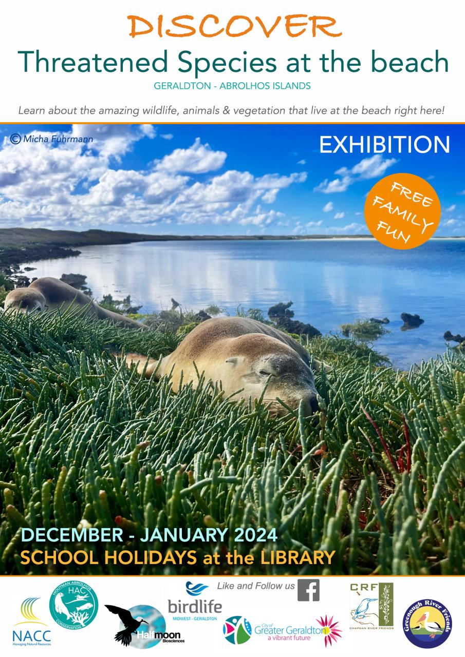 Events Calendar » City of Greater Geraldton Regional Library